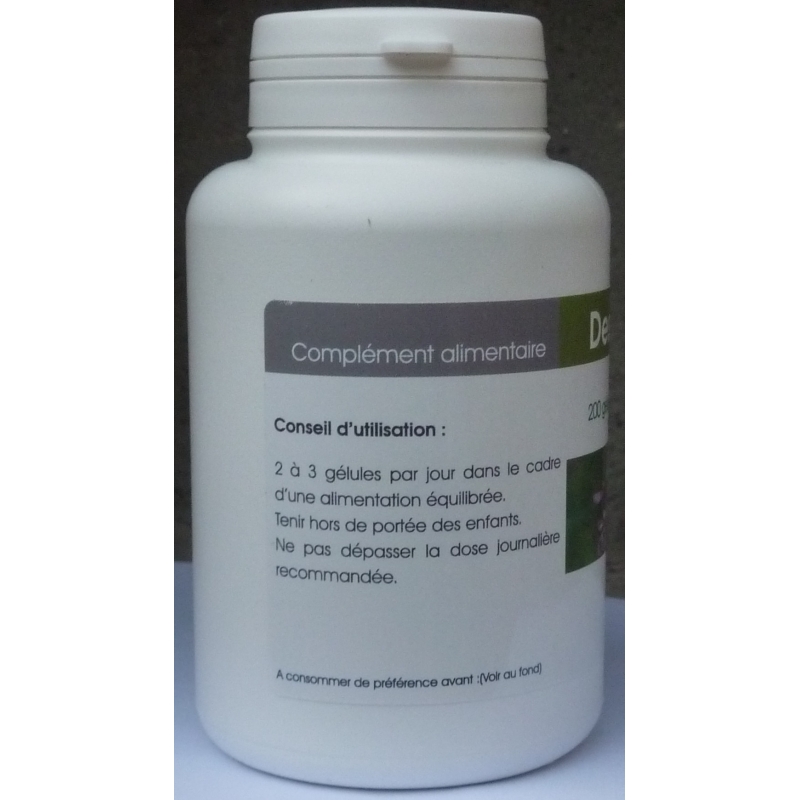 Desmodium 200 mg x 200 gélules - Vitanat